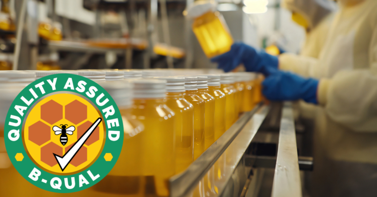 Understanding B-Qual in Australia: What It Is and Why It Matters